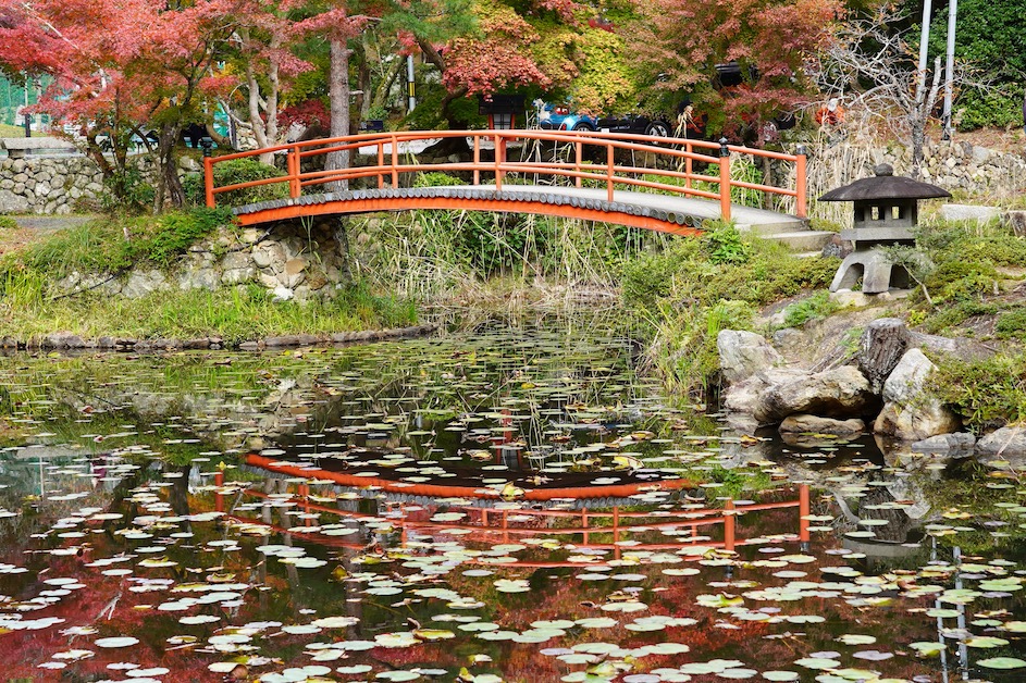 SUMO, MONET AND A KYOTO SHRINE – Travelling Therese